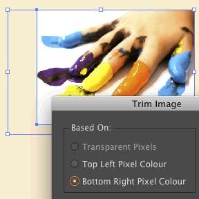 Adobe Illustrator Plugin Rasterino from Astute Graphics