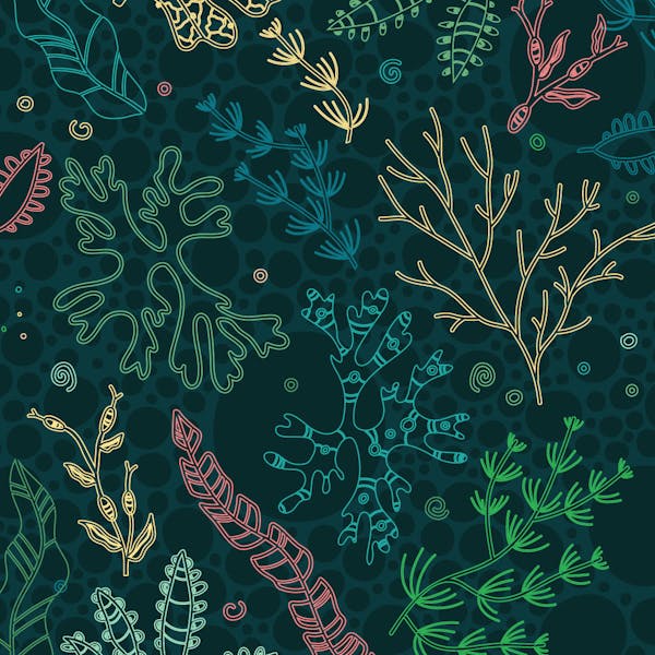 Apply Texture In Illustrator apply-texture-in-illustrator