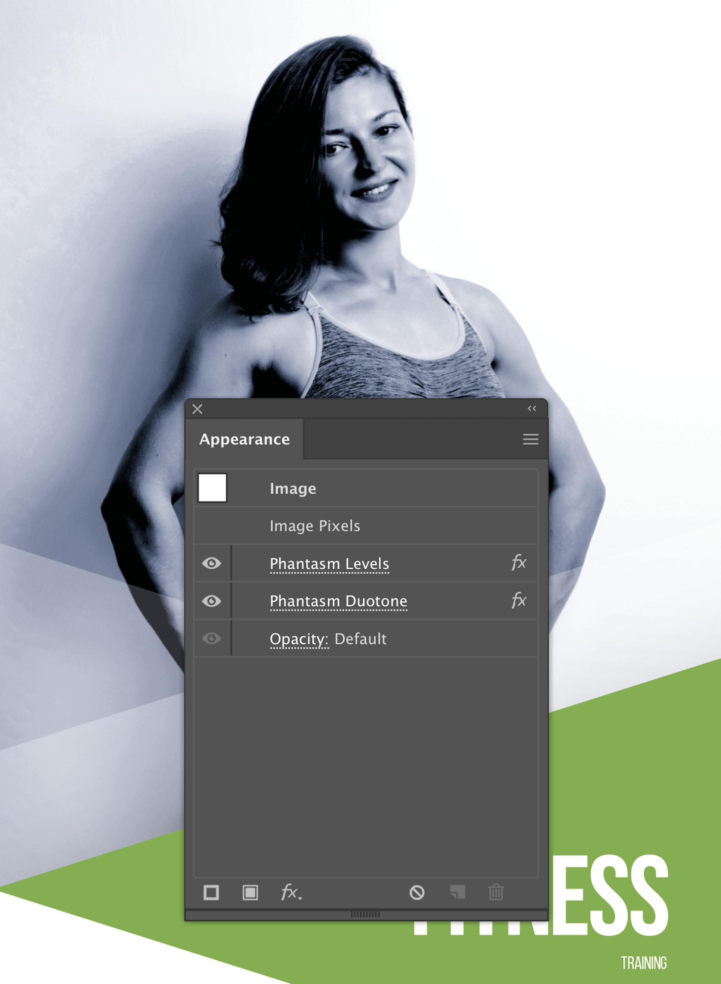 How to create a duotone effect in Illustrator with Phantasm