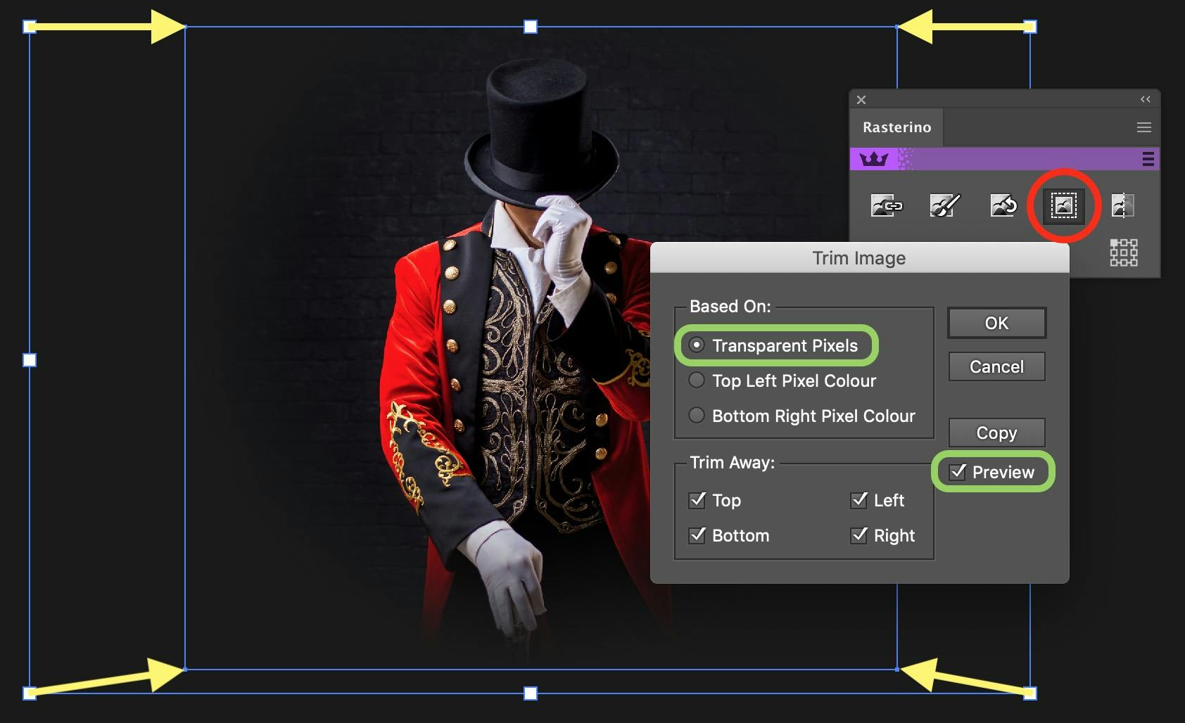 How to crop and trim a photo in Adobe Illustrator